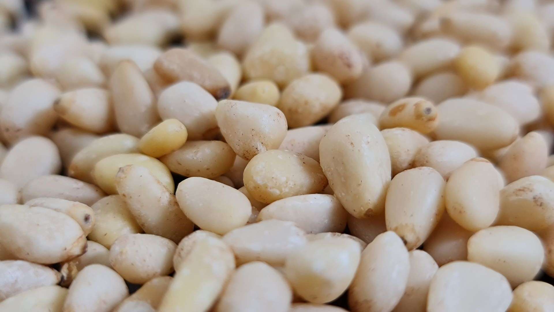 Semințele de pin, o adevărată sursă de vitamine și minerale, de ...